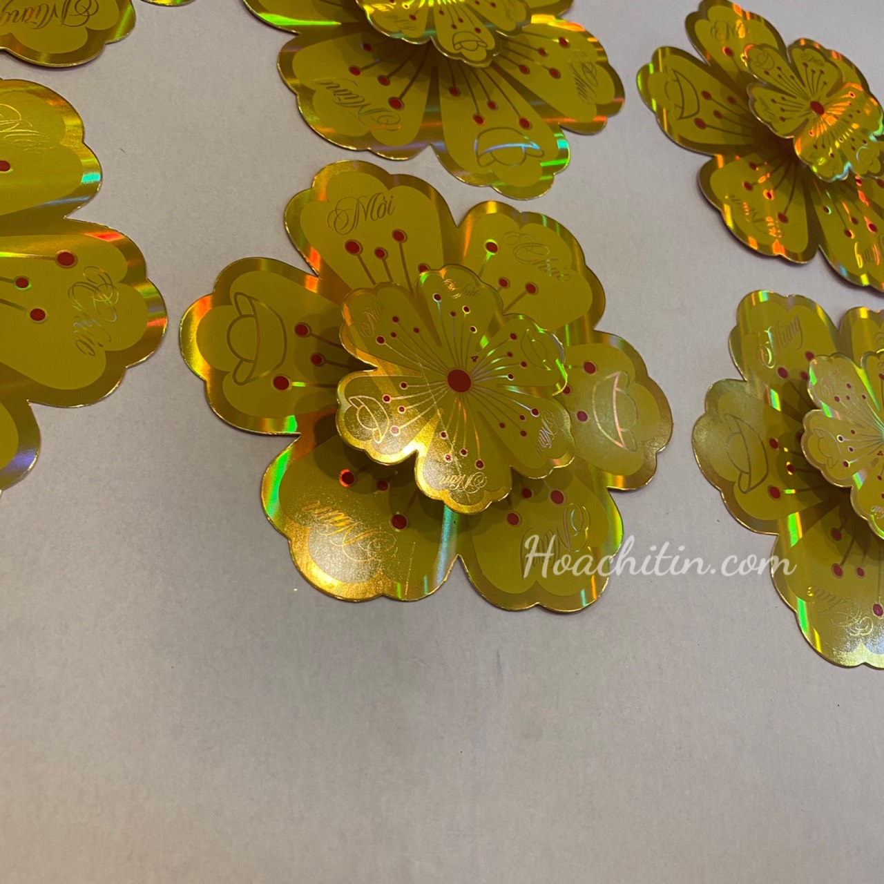 hoa-mai-3d-dan-kinh-size-15cm-bao-6-cai HOA CHÍ TÍN